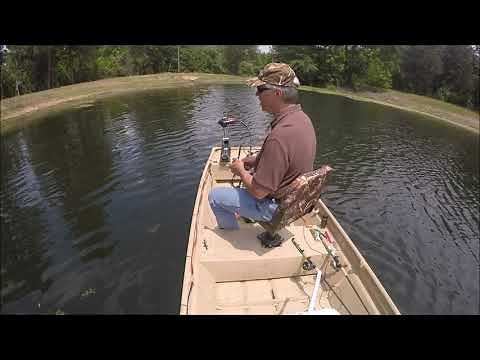 Bream on beetle spin