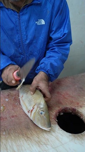 Beautiful & Delicious Sea Fish Cutting | Just Watch How