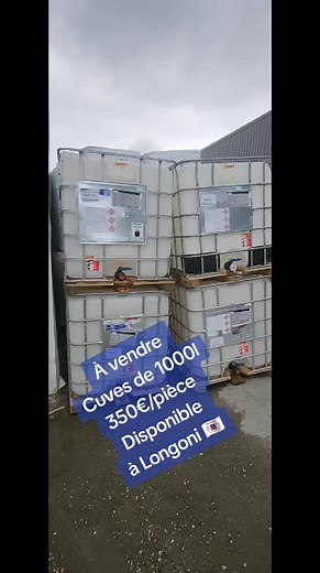 379 reactions · 56 shares | #HIPPOCAMPEIMPORTEXPORT Nos Contacts INFO+ APPELS/ SMS 06 99 79 16 98 06 99 56 93 58 07 69 64 70 57 Devis , Email bordeaux@h-import-export.com | Ibrahim Biscai | Facebook