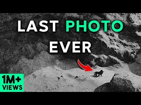 7 Last Photos Of Extinct Animals