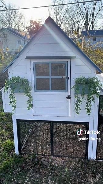 shinnfarms on TikTok
