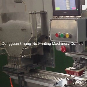 [Hot Item] Automatic Pad Printing Machine for Pen