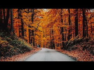 When Does Fall Start? Understanding the Autumnal Equinox