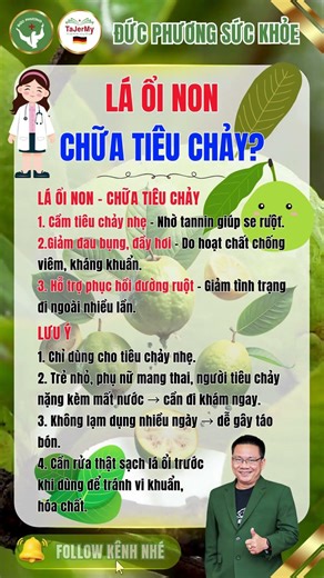 Lá Ổi Non Chữa Tiêu Chảy Có Hiệu Quả Không? | Đức Phương Sức Khỏe