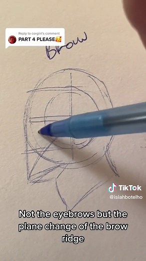 Drawing the Profile: Step-by-Step Tutorial