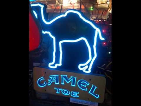Camel Toe Song!