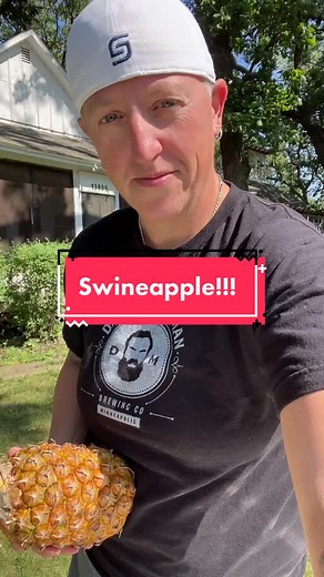 SWINEAPPLE!!! #mybutchkitchen #smoker #bbq #pork #swineapple #butchinthekitchen
