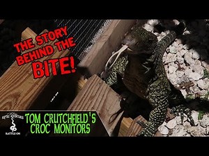 TOM CRUTCHFIELD'S CROCODILE MONITORS! (the story behind the bite)