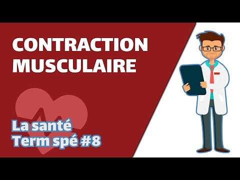 Contraction musculaire - SVT - SANTÉ Term spé #8 - Mathrix