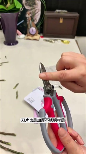 Secrets of Flower Care: Knife vs. Scissors - Pro Tips Unveiled