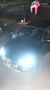 226K views · 3.2K reactions | In Brighton, Victoria, two would-be thieves picked the wrong target. CCTV shows them snooping a driveway until the homeowner storms out barking. | Slapped Ham | Facebook