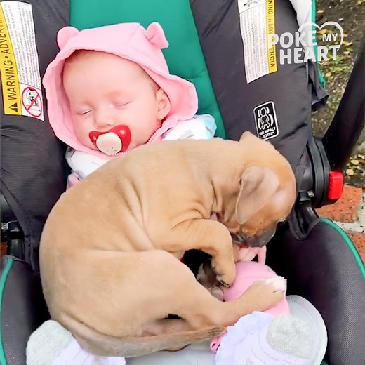 51M views · 279K reactions | Aren't they sending out major BFF goals?  | The Daily Heartbeat | Facebook