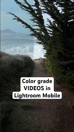 Edit your VIDEOS in Lightroom Mobile!?