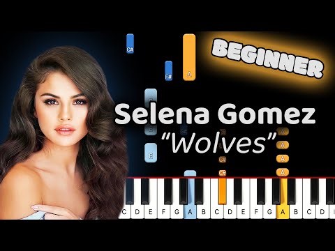 Wolves Selena Gomez Piano Lesson! (Beginner