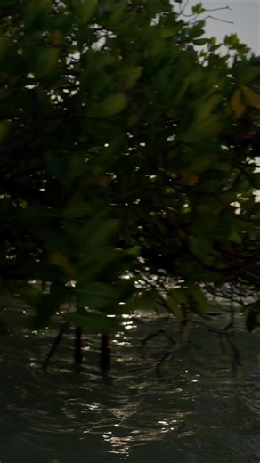 Your next big catch starts with the right gear. | Bass Pro Shops