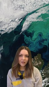 Why ocean scientists measure chlorophyll data from satellites 🛰️🌊 The oceans are vast, covering much of Earth's surface. They play huge roles in our economy, are a massive food source, provide habitat for many species and heavily influence the climate. Studying these waters to better understand such complex functions is a huge challenge for scientists. To help in this task, Heather Bouman, a biogeochemist at the University of Oxford, is collecting and analysing information gathered by satellit