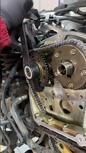 Align and install the timing chain
