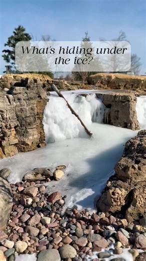 8K views · 60 reactions | The incredible ice formations our water features create  with this extra cold weather we’ve been having lately, the ice has been so cool to see! #ice #waterfall #water #winter #cool #nature Greg Wittstock the Pond Guy Aquascape Inc. | Team Aquascape | Facebook
