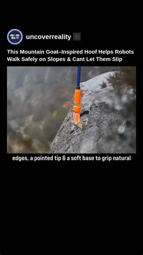 This Mountain Goat Hoof Helps Robots Walk Safely On Slopes & Can't Let Them Slip #robot #shorts