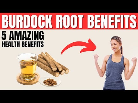 Burdock Root Benefits | 5 Amazing Health Benefits of Burdock Root