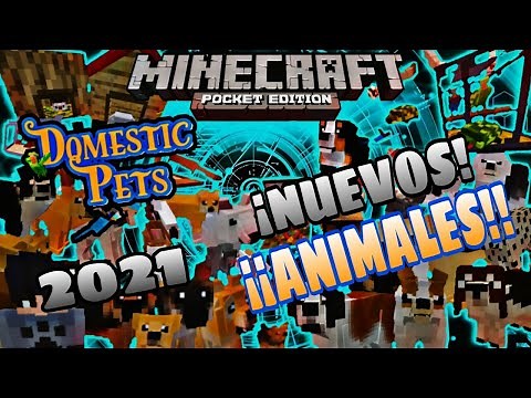 🎮MOD/ADDON MINECRAFT PE🌳PERROS🐶MASCOTAS🐹ANIMALES🐕‍🦺//DOMESTIC🐰PETS/TODAS LAS 1.14/1.15/.1.16✅💥2021💥