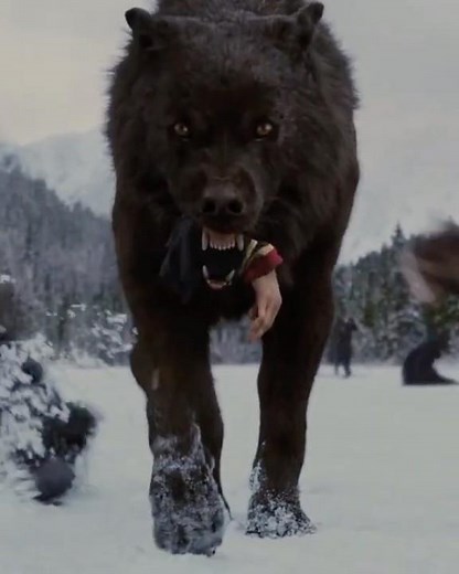 🛡️✨ Bella’s Shield SAVES Edward in Twilight Breaking Dawn Part 2! EPIC Moment Breakdown 🔥