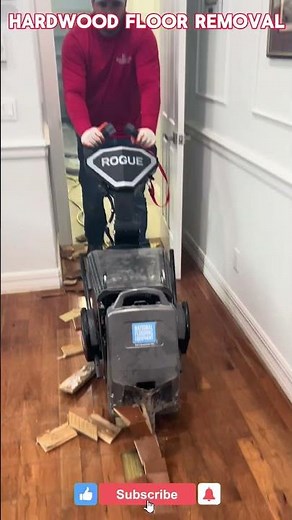 Rogue walk behind floor scraper in action,removing glue down hardwood floor