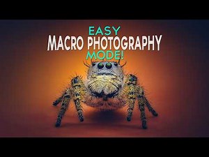 Easy Macro Studio Setup for Stunning Jumping Spider Shots