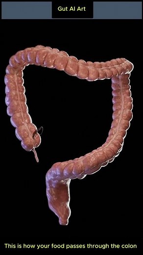 3D Stool Exit from the Colon Animation | 05