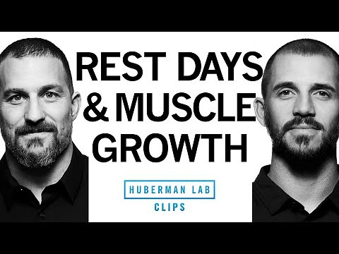 How to Know If You Need a Rest Day | Dr. Andy Galpin & Dr. Andrew Huberman