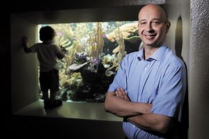 Animal behaviour: Inside the cunning, caring and greedy minds of fish - Nature