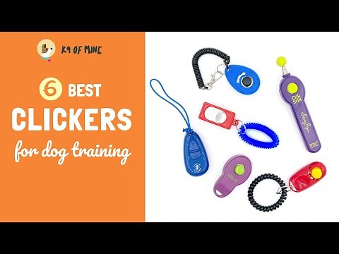 The Best Clickers for Dog Training: A Clicker Review!