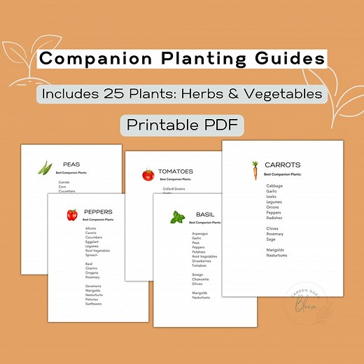Printable Companion Planting Chart | Quick Garden Reference Guide PDF for 25 Vegetables, Herbs, Flowers - Etsy