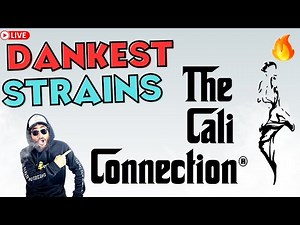 🔴 BEST CALI CONNECTION GENET!CS! 🤩 🚀