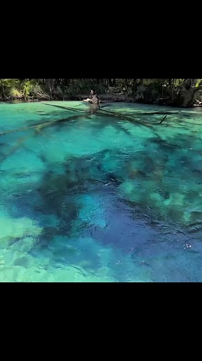 14K views · 47 reactions | The beauty of Cypress Spring | Florida Panhandle Springs and Fossils | Facebook