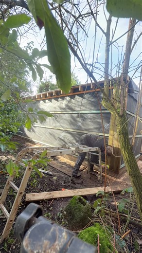 Cladding work on the summer house today 👌 #garden #gardentok #landscape #summerhouse #diy