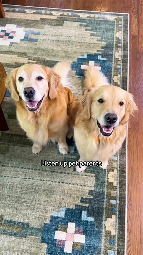 Meet All-in-One—the one you've been waiting for. A one-piece rug with built-in grip, and the washable ease you love. | Ruggable