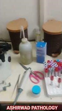 my Pathology lab