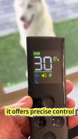 Dog Training Collar with Remote Control, 1600FT Electric Collars for Dogs 8-120 LBs, IP67 Waterproof Collar with Safe Static, Beep, Vibration, Rechargeable E-Collar for Small Medium Large Dogs, Green