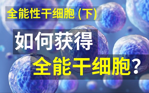 全能性干细胞（下）如何获得全能性干细胞？