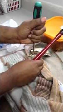 How To Open An Oyster Shell Without A Shucking Knife