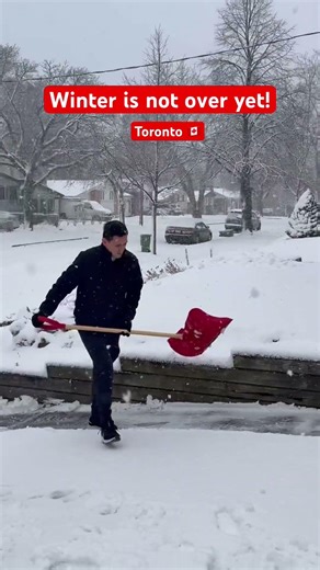 Winter is not over yet in Toronto #snow #torontolife #shorts