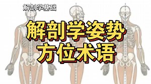 【解剖学基础】——解剖学姿势和方位术语