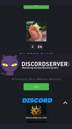 How to find Discord servers