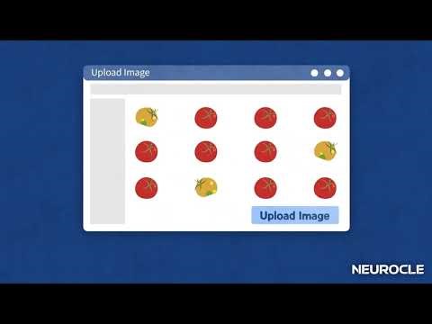 Auto Deep Learning Vision Software for AI Vision Inspection - Neuro-T & Neuro-R