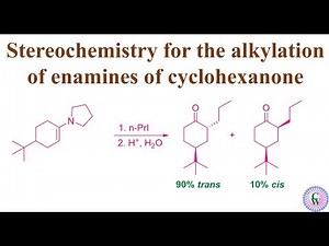 Stereochemistry for the alkylation of enamines of cyclohexanone