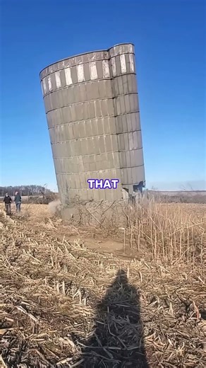 Why Do Falling Building Looks Satisfying 🤯
