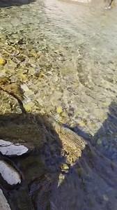 #spring #water ❤️ | Beautiful mountain path