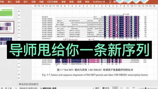 多序列比对详细教程