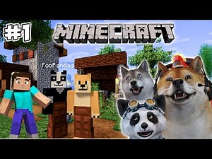 AKHIRNYA Trio Kocak Memulai Petualangan Survival Pertama Kali! - Minecraft Survival #1
